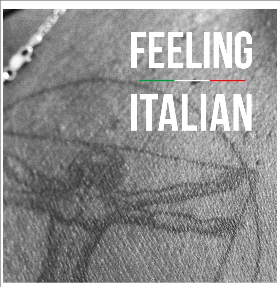 BOOK PRESENTATION: Feeling Italian | Sentirsi italiani - Panoram Italia